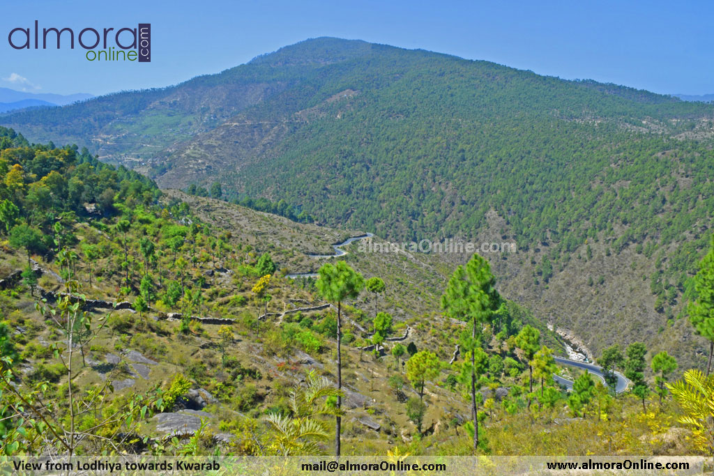Kwarab-from-Lodhiya - Almora Online | Explore Almora - Travel, Culture ...