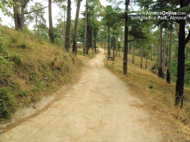 simtola Eco Park path, almora - Almora Online | Explore Almora - Travel ...